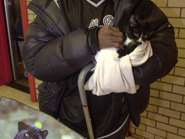 How NYC’s “Tiger Man” Raised 425-Pound Pet Cat In Harlem Apartment ...