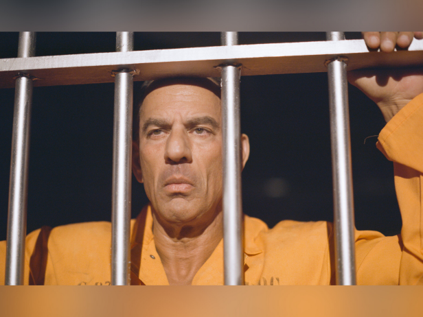 7 Greatest Con Artist Shows And Movies Of All Time | Investigation ...